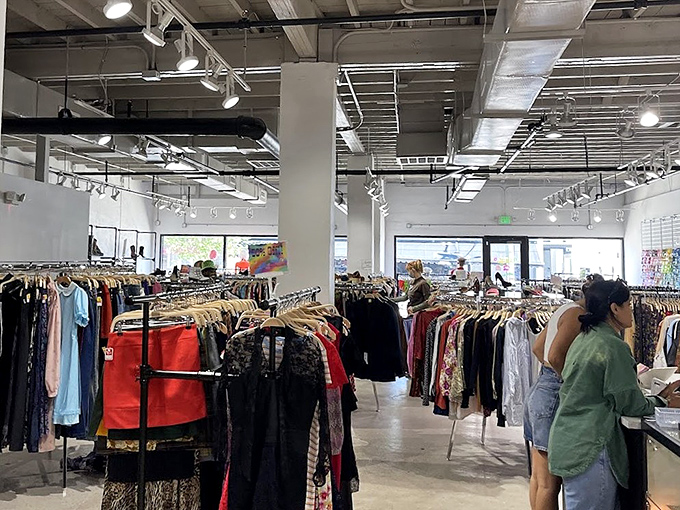 This isn't your average thrift store chaos &ndash; it's organized like a department store with treasure hunt benefits.
