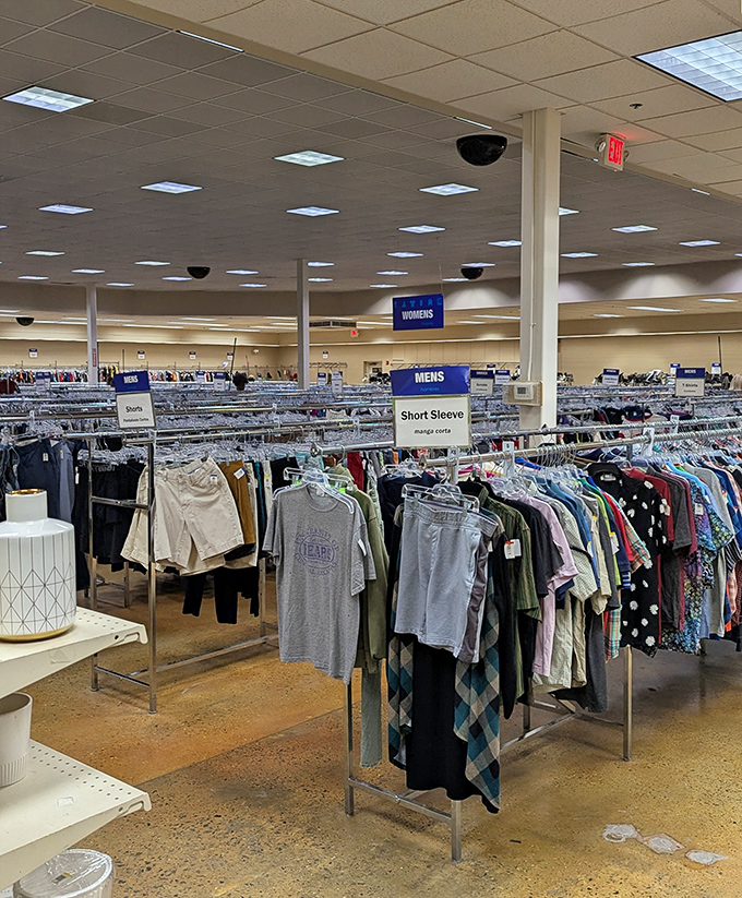 Row after row of possibility stretches before you. The retail equivalent of a blank canvas, just waiting for your shopping inspiration.