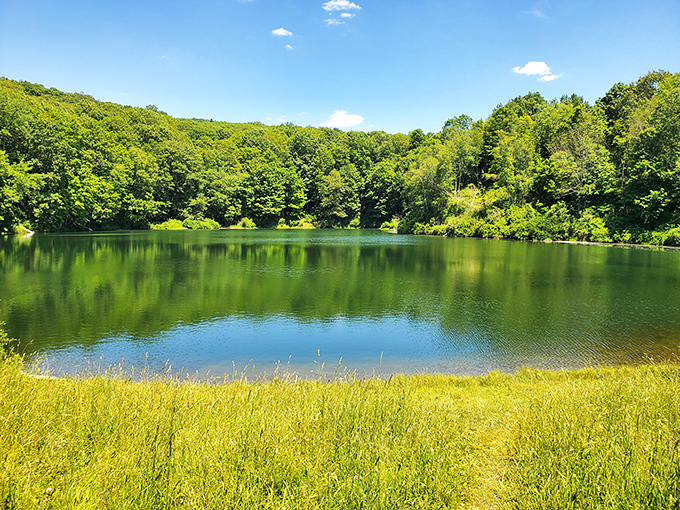 Mirror, mirror on the pond. Iron Mine Pond's glass-like surface reflects the surrounding forest like Mother Nature's own Instagram filter.