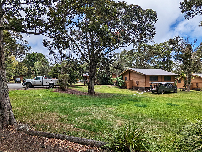 At Kalōpā State Recreation Area, nature reclaims its rightful place, offering a peaceful retreat where the modern world feels delightfully distant.