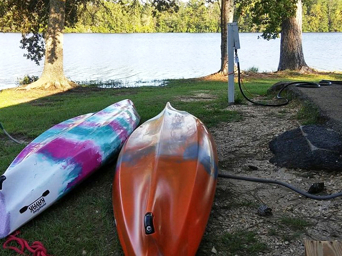 Adventure comes in colorful packages at the park's waterfront. These kayaks aren't just boats&mdash;they're your tickets to hidden coves and peaceful exploration.