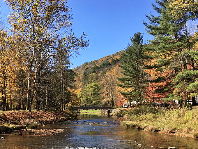 Kettle Creek in autumn glory, proving Pennsylvania doesn't need to brag&mdash;it just quietly shows up looking absolutely stunning.