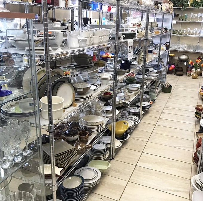 Dish paradise! Amateur chefs and dinner party hosts can stock an entire kitchen for less than the cost of one fancy restaurant meal.