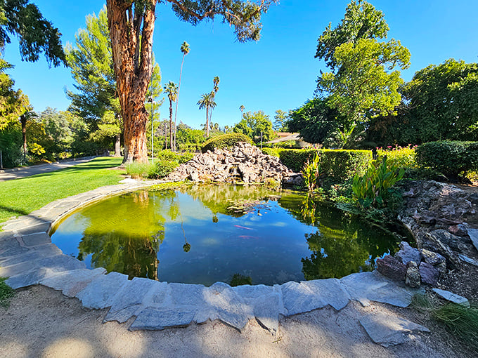 Nature's mirror: this tranquil koi pond reflects the surrounding greenery with such perfection, it's practically showing off.