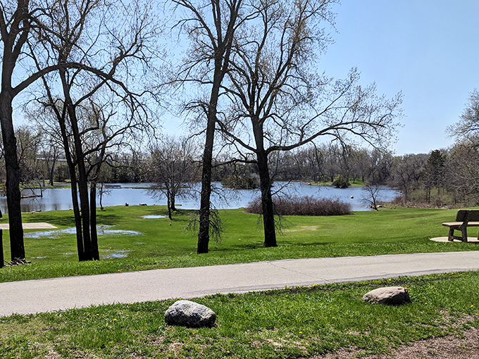 Koser Spring Lake Park proves nature doesn't charge admission fees for beauty that rivals expensive postcards.