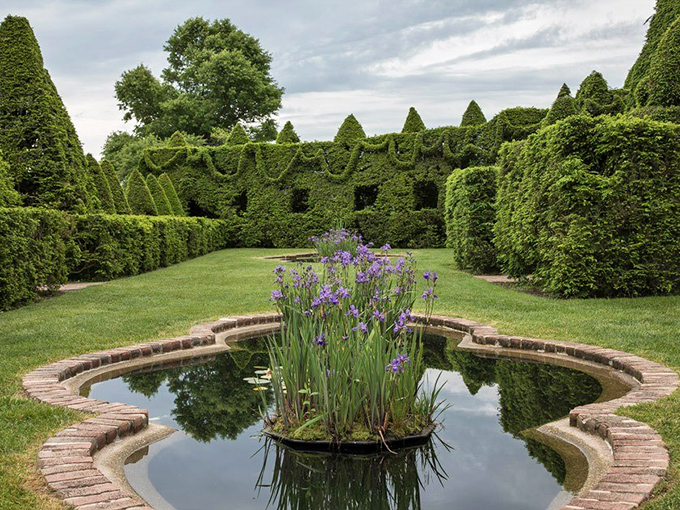 Living walls frame a serene reflecting pool where irises stand at attention, as if nature decided to create its own perfect meditation space.
