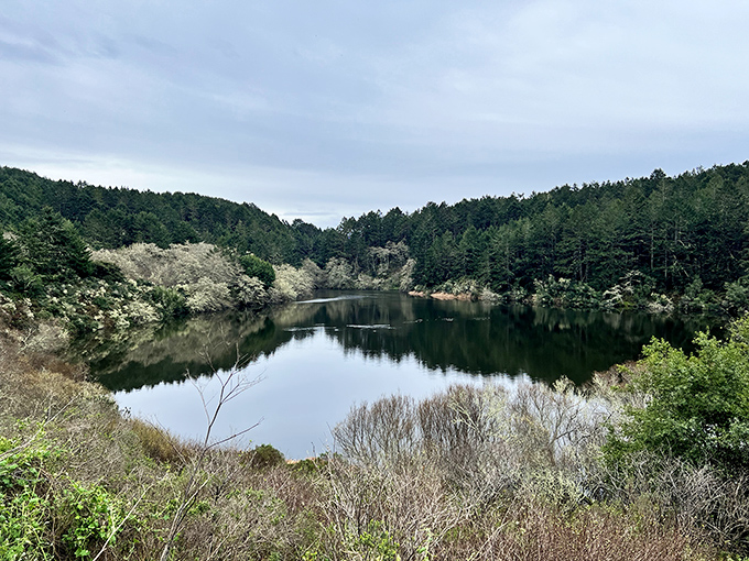 Bass Lake's mirror-like surface reflects the surrounding forest, creating a double portion of natural beauty halfway through your hike.