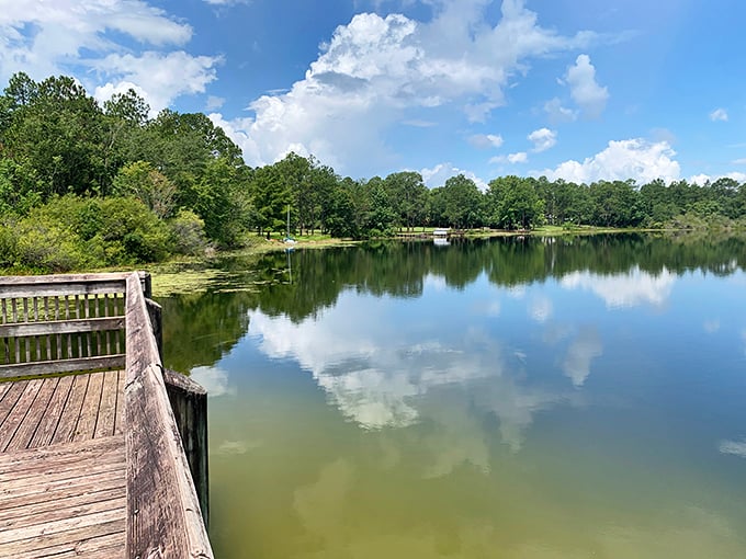 Lake Stanley Park offers the kind of peaceful waterfront views that make you forget your phone exists.