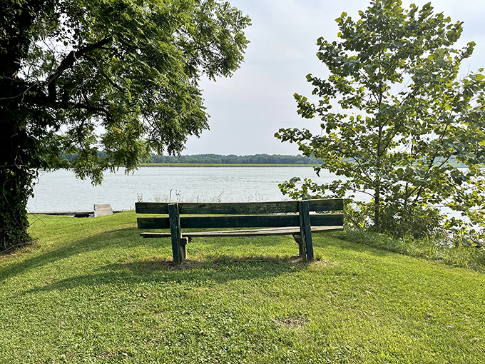 Nature's perfect meditation spot. This lakeside bench has witnessed more peaceful moments and deep thoughts than a therapist's couch.