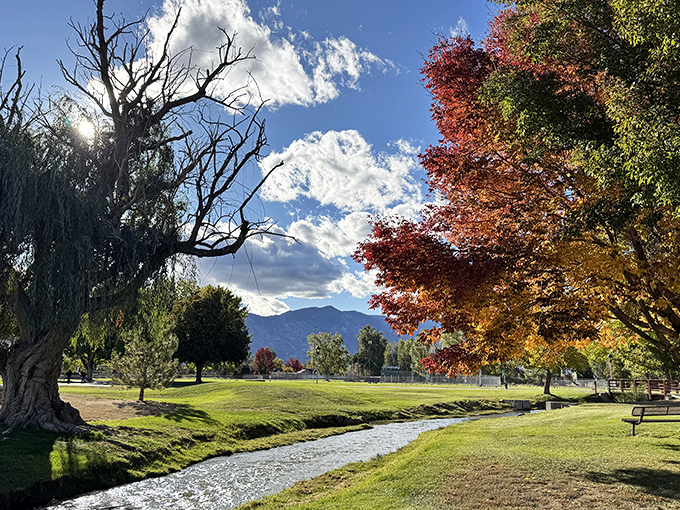 Nature doesn't need Instagram filters &ndash; Lampe Park's crystal-clear stream and autumn foliage create a postcard moment that no smartphone can truly capture.