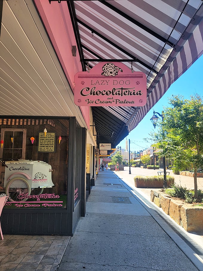 The Lazy Dog Chocolateria promises the kind of sweet escape that makes adults grin like children and children behave like angels&mdash;temporarily, at least.