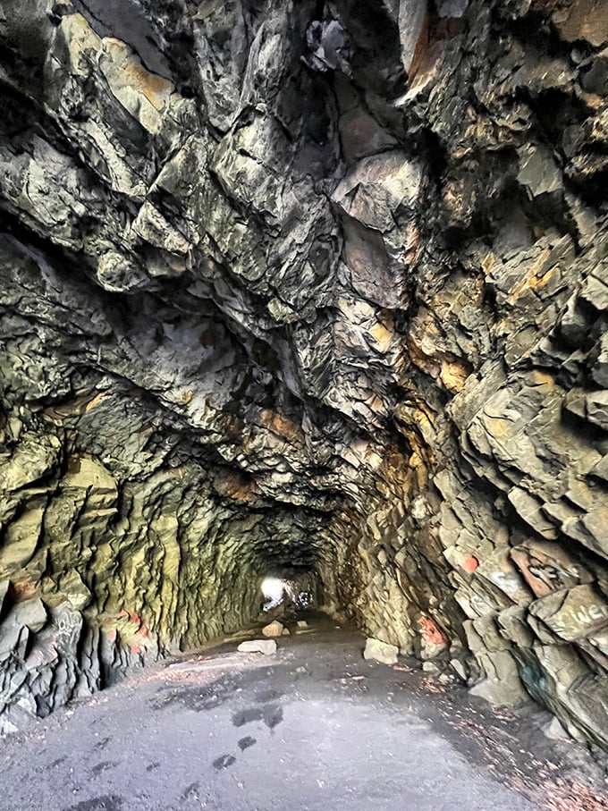 Nature's own cathedral awaits in the tunnels of Lehigh Gorge, where rock formations create a geological time machine you can walk through.