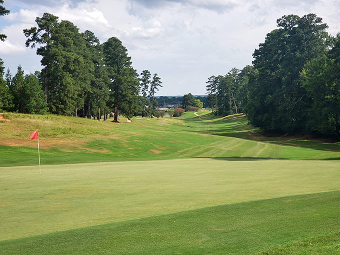 Golf enthusiasts rejoice! Lion Hills offers emerald fairways where your slice will at least disappear into picturesque Mississippi pines rather than someone's backyard.