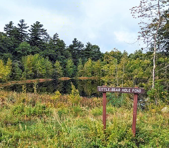 Little Bear Hole Pond sounds like it should be in a children's book, but delivers views worthy of National Geographic.