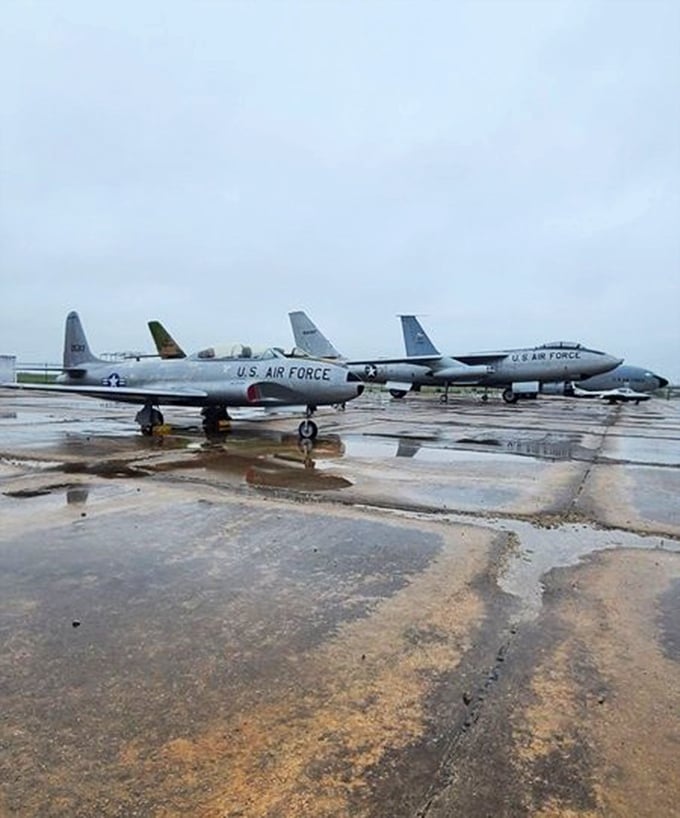 Military jets lined up like patient sentinels on the tarmac. These U.S. Air Force beauties have traded their supersonic missions for a more peaceful retirement educating wide-eyed visitors.