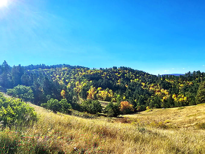 Autumn in the Black Hills isn't just a season&mdash;it's a masterpiece. Nature's color palette goes wild on Lookout Mountain Trail.