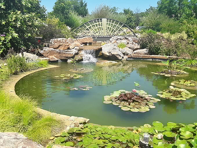 The garden's tranquil pond offers a moment of zen, complete with lily pads that look like they're auditioning for a Monet exhibition.