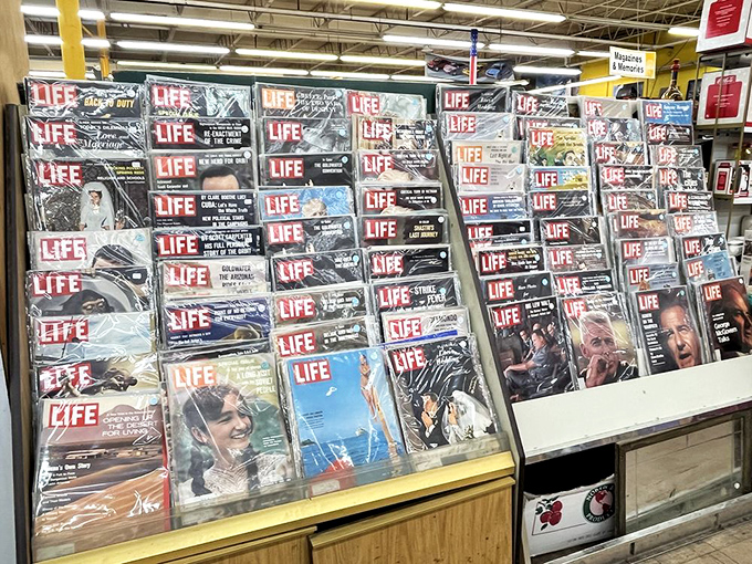 A wall of LIFE magazines where history stands frozen in time. Each cover a portal to another era, waiting to be rediscovered.
