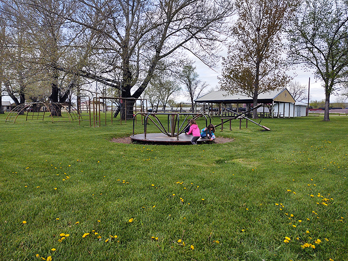 Old-school playground equipment where kids still spin until dizzy. Some childhood joys never need a technological upgrade.