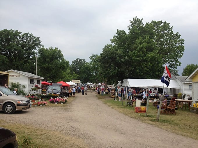 The market's meandering paths lead shoppers through a choose-your-own-adventure of vintage finds, garden plants, and conversations with strangers who quickly become friends.