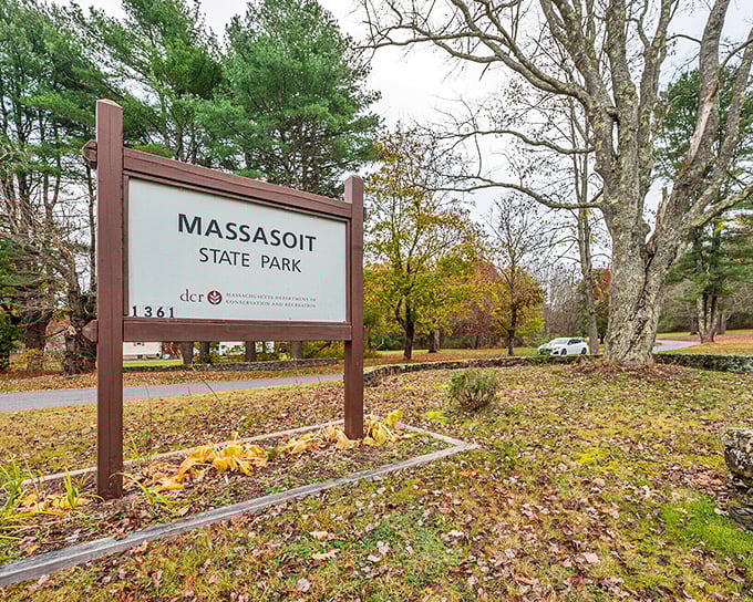 Massasoit State Park's entrance promises adventure without pretension. Nature doesn't need fancy packaging when it offers 1,200 acres of pure Massachusetts magic.