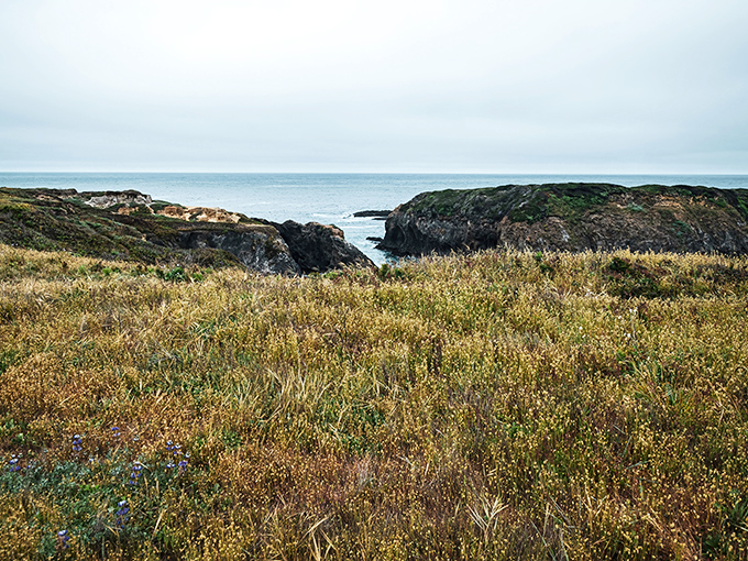 Nature's drama unfolds at the Mendocino Headlands, where golden coastal prairie meets the relentless blue Pacific in a spectacular standoff.