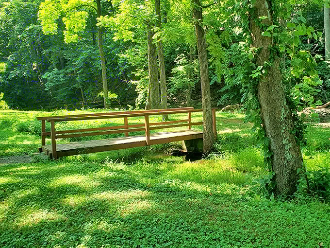 Nature's therapy office awaits with no co-pay required. This peaceful footbridge invites contemplation and the occasional duck conversation.