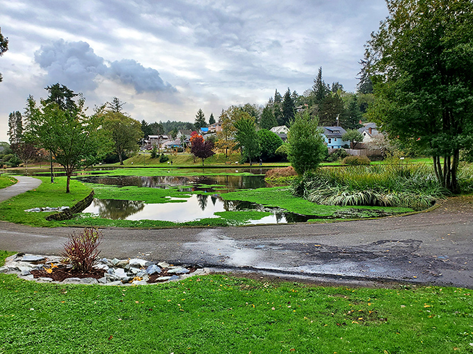 Mingus Park provides a tranquil oasis in the heart of town, where reflective ponds mirror the changing Oregon sky and locals find moments of peace.