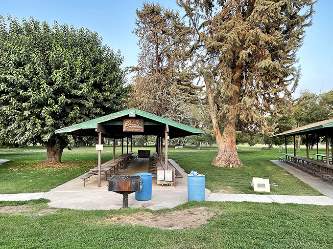 Mooney Grove Park's picnic shelters offer the perfect spot for family gatherings – where memories are made between bites of potato salad and competitive rounds of horseshoes.