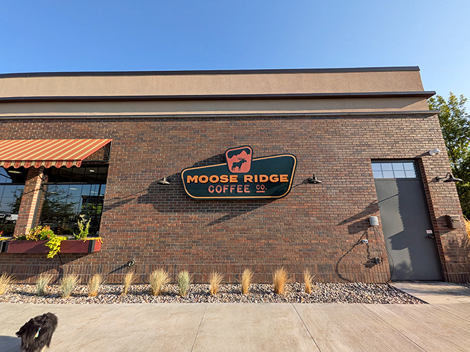 Moose Ridge Coffee serves up more than just caffeine—it's where locals gather to solve the world's problems over cups that won't drain your Social Security check.