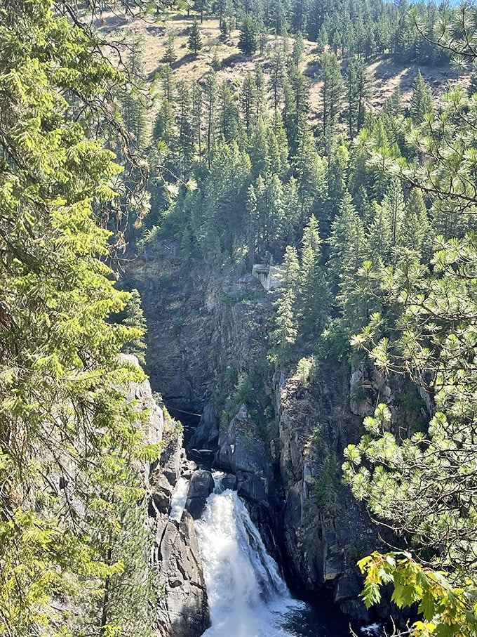 From this vantage point, Moyie Falls appears as a white ribbon threading through the evergreen tapestry of northern Idaho's wilderness.