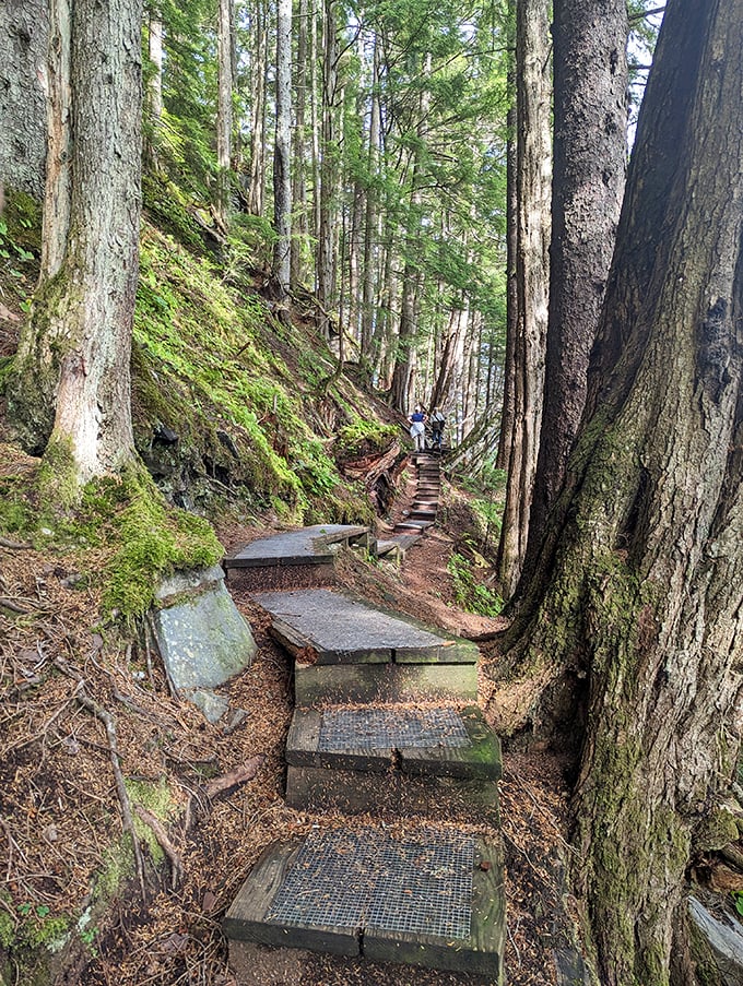 Nature's stairmaster! These moss-draped forest steps on Mt. Dewey Trail lead to views worth every breath you'll lose climbing them.