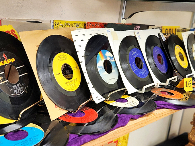 Vinyl records stand at attention, each one a time capsule waiting to spin stories from decades past.