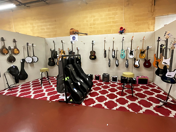 The musician's paradise where guitars hang like ripened fruit, waiting for the right hands to bring them back to life.