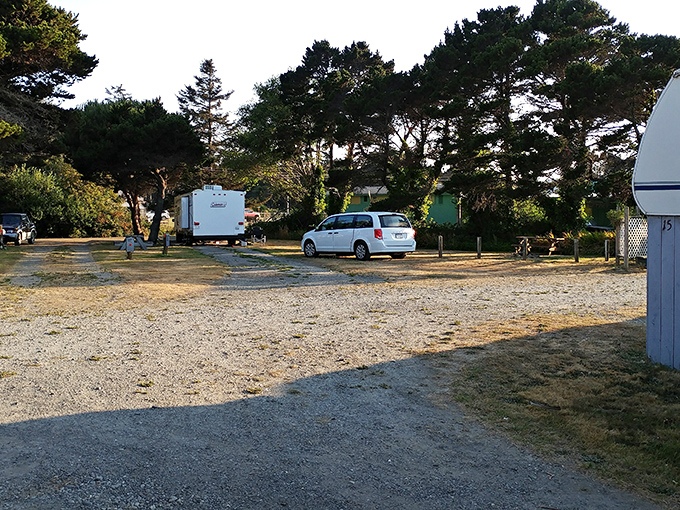 Camping simplicity at its finest&mdash;where stargazing replaces Netflix and pine-scented breezes outperform any hotel air freshener.