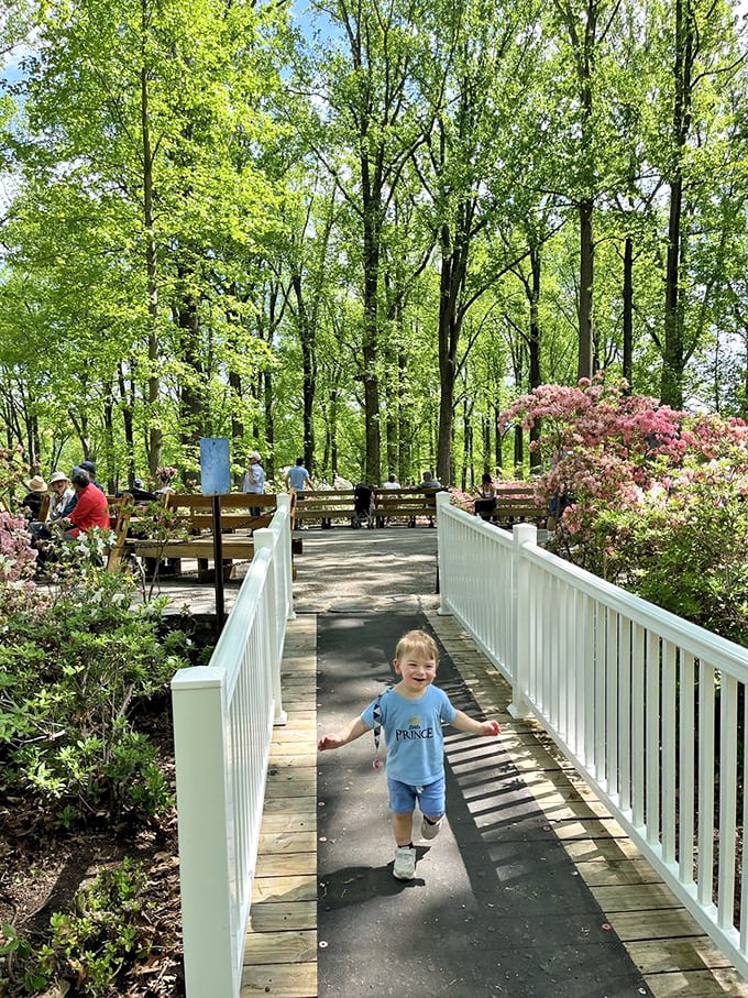 Joy blooms on the accessible boardwalk where everyone, from toddlers to grandparents, can immerse themselves in this floral wonderland without barriers.