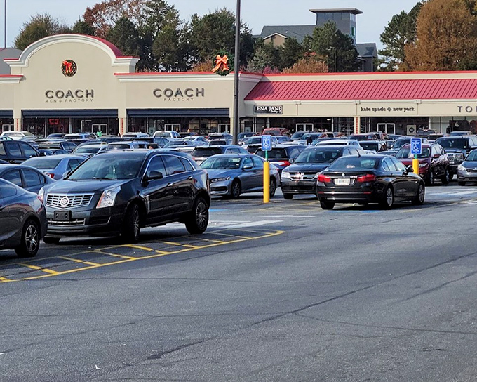 The Coach store stands as a beacon of hope for luxury handbag enthusiasts who believe designer labels and reasonable prices can coexist.