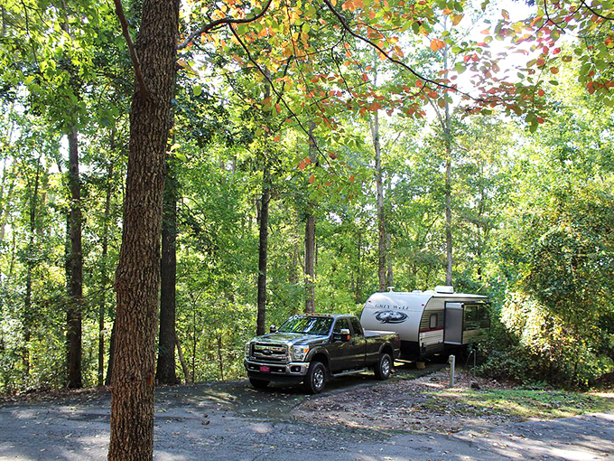 Where camping dreams come true – your temporary address among towering pines with Lake Hartwell as your front yard.