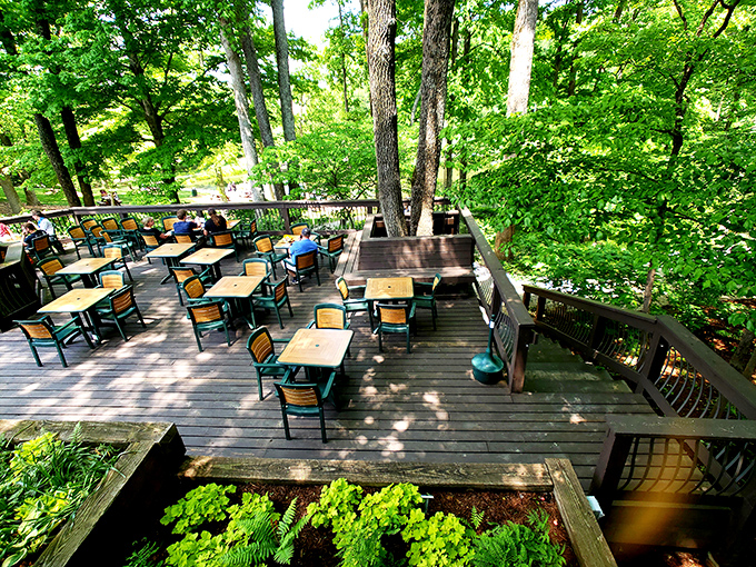 Nature doesn't just surround this treetop deck&mdash;it embraces it, offering the perfect backdrop for contemplative sipping.
