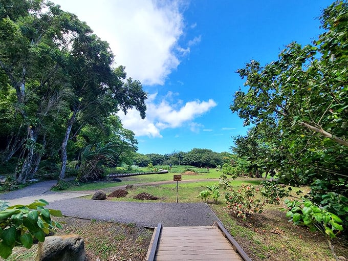 The path less traveled, but perfectly maintained. This boardwalk invites you into Hā'ena's heart without trampling its soul.