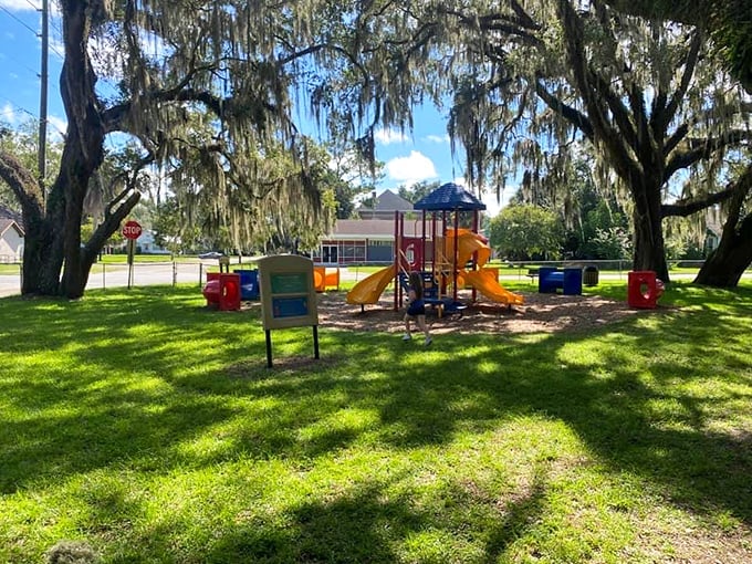 Under the protective canopy of Spanish moss-draped oaks, this playground offers simple joys that cost nothing but create memories worth everything.