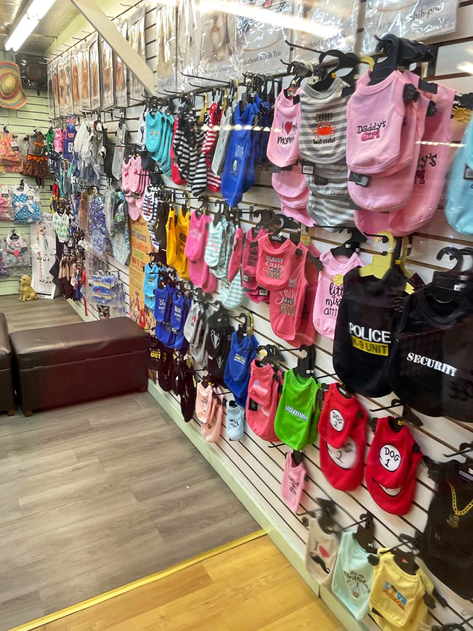 Tiny outfits for four-legged family members hang like colorful flags, proving Florida dogs have better wardrobes than most human tourists.