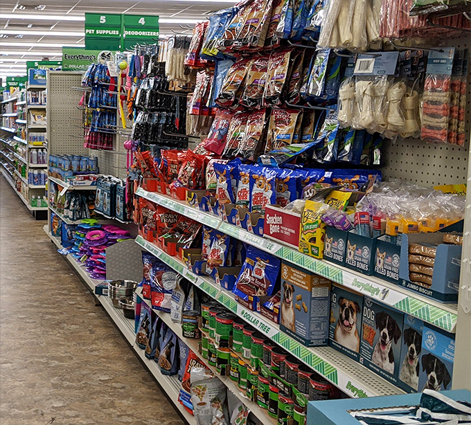 Fido and Fluffy haven't been forgotten! This aisle proves that pet parenting doesn't require a second mortgage, just a dollar and a dream.