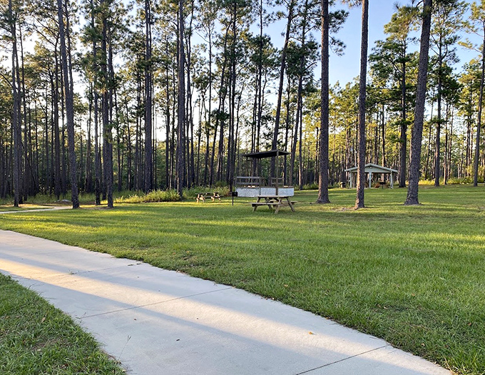 Picnic areas nestled among longleaf pines offer shady respite and the perfect backdrop for family gatherings where potato salad is practically mandatory.