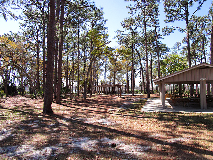 Picnic pavilions scattered among towering pines offer shade-dappled sanctuaries where even a simple sandwich tastes like gourmet fare.
