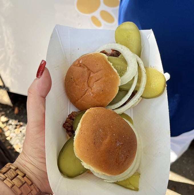 Simplicity elevated to art form: soft bun, crispy-edged patty, tangy pickles, and fresh onions. The burger equivalent of a perfect three-chord rock song.