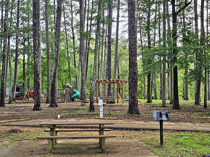 Where childhood memories are manufactured &ndash; tall pines stand guard over playground adventures waiting to happen.