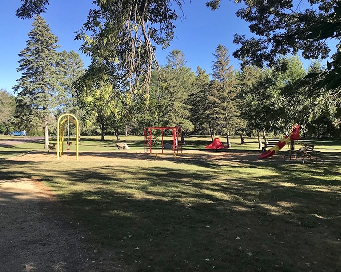 Who needs smartphone notifications when you've got the simple joy of a playground surrounded by towering trees? Screen time can wait.