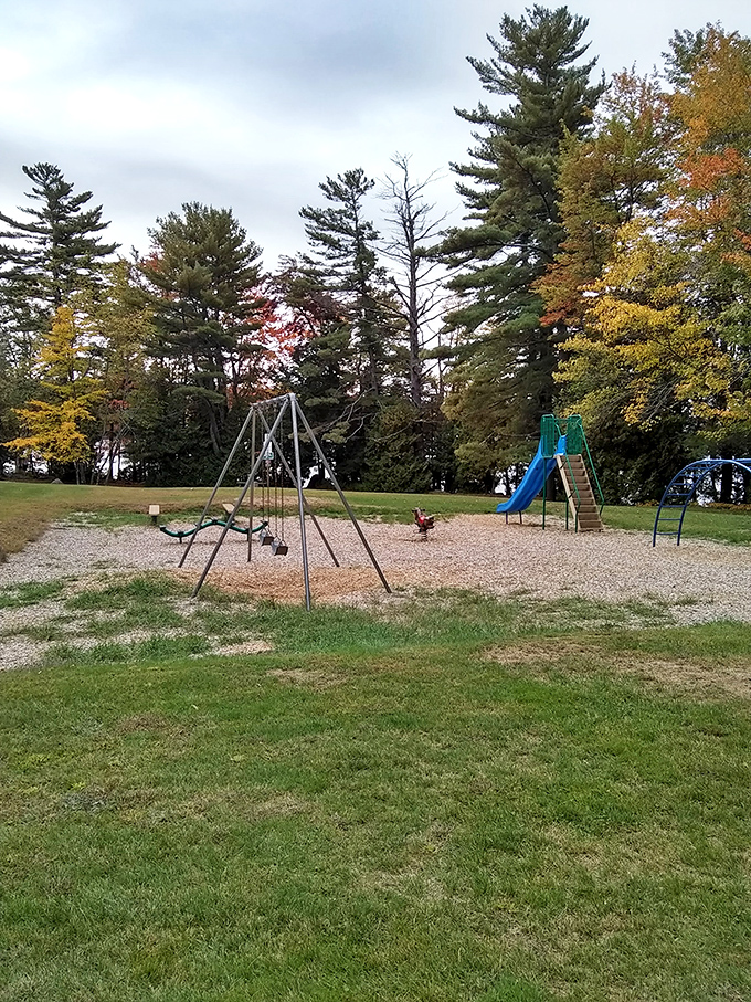 This playground might be for kids, but those fall colors are putting on a show for everyone with eyes.