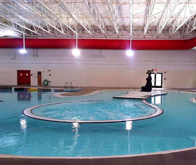 The Powell Aquatic Center proves small towns can have big amenities. That curvy pool design? Pure genius for both serious swimmers and splash-happy kids.